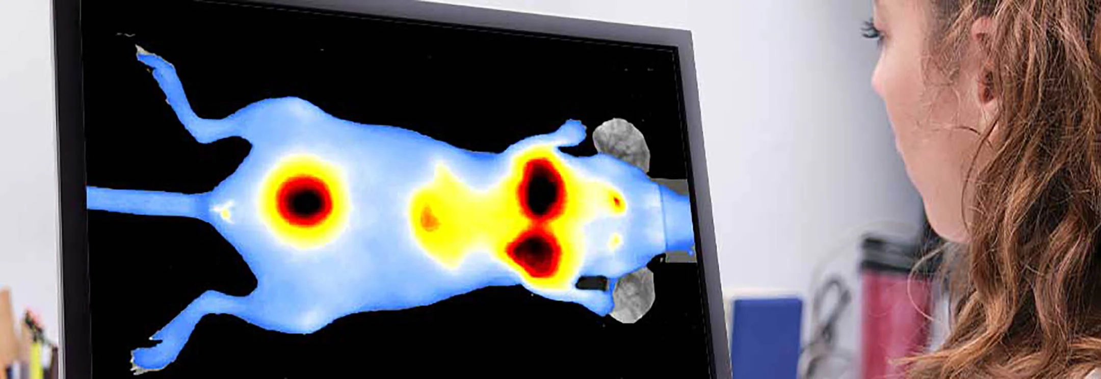 Fluorescent Imaging Panels | Revvity