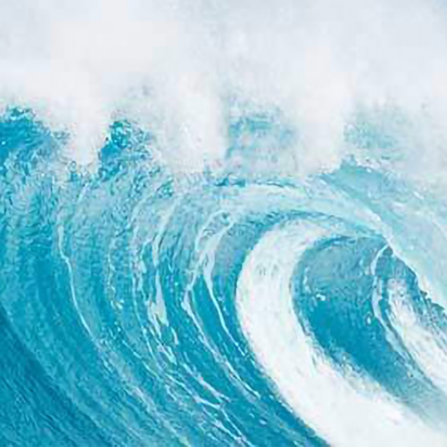 Fontus Automation | Revvity