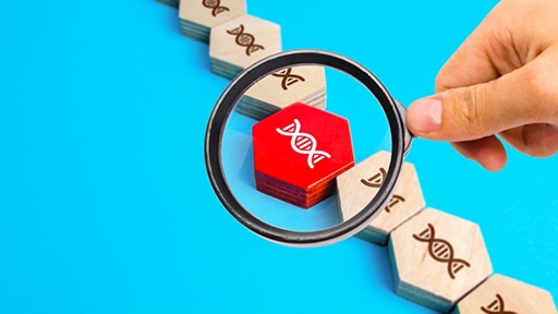 IncRNA in Functional Studies | Revvity