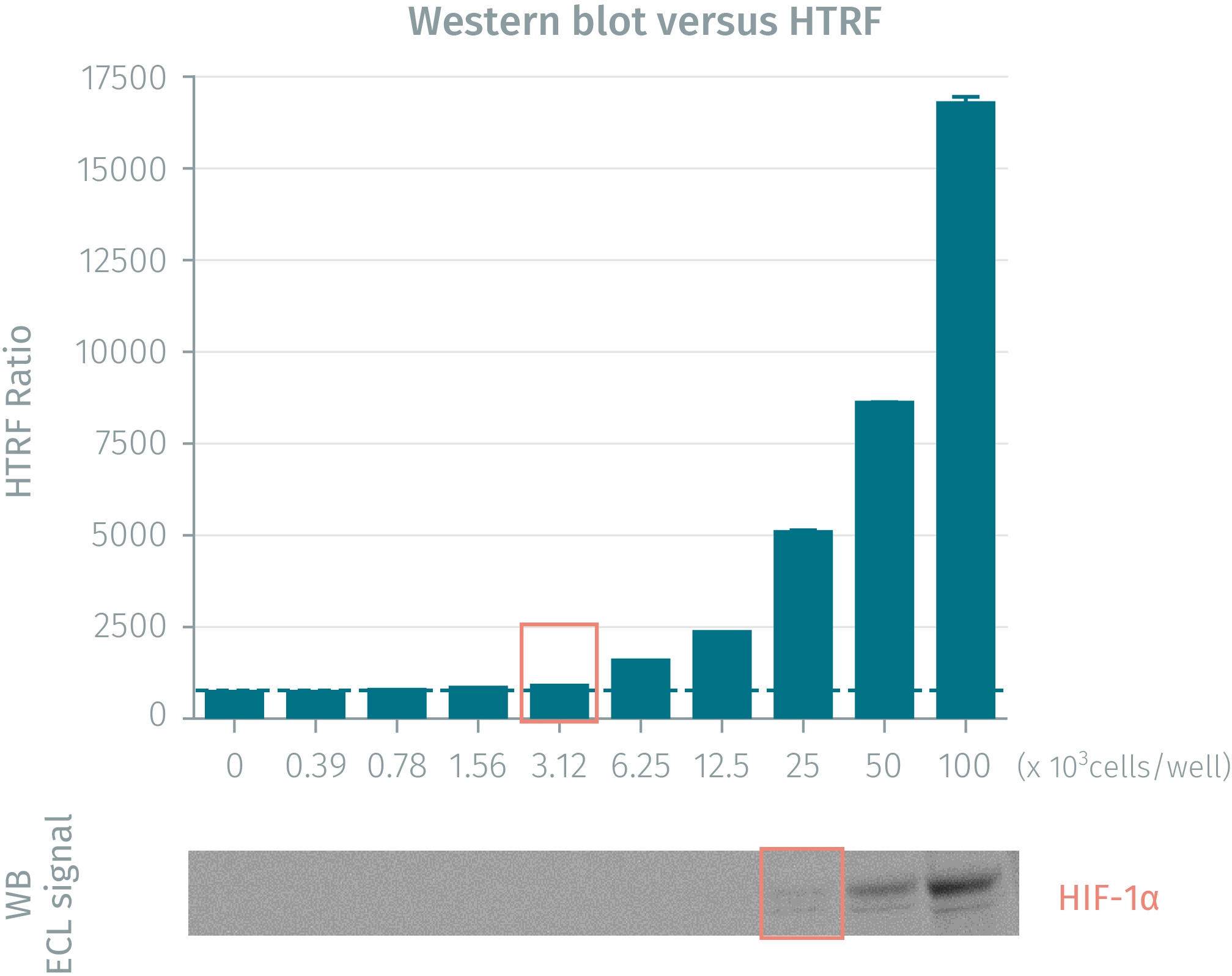 HTRF Human and Mouse HIF-1α Detection Kit, 500 Assay Points | Revvity