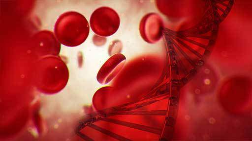 Automated Blood Fractionation | Revvity