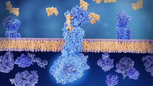 Monitoring Gq coupled GPCR with IP-One | Revvity