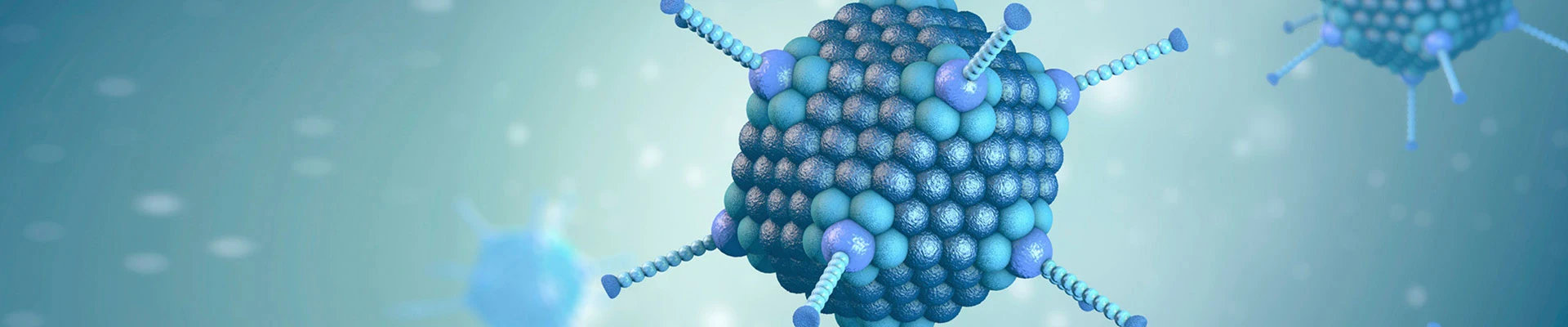 A Simple Reliable No Wash Assay Platform For Aav Capsid Titer