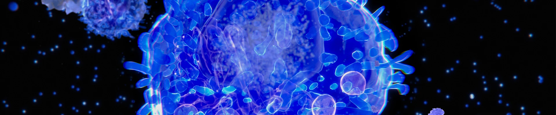 Perform And Optimize Cytokine Assays On Pbmc Revvity
