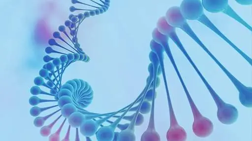 Automated NGS Applications | Revvity