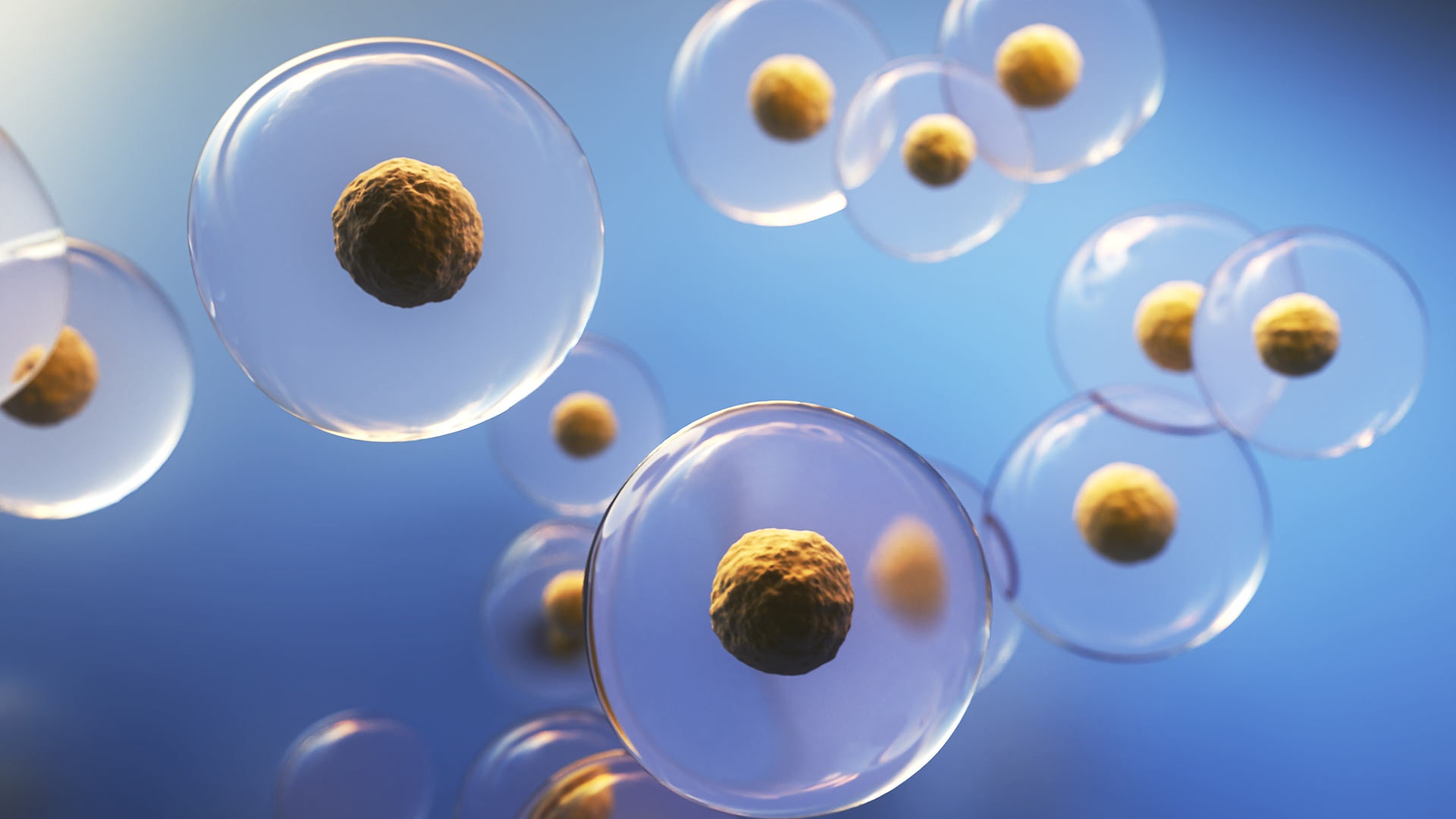 Real-time hypoxia monitoring using live cell imaging | Revvity