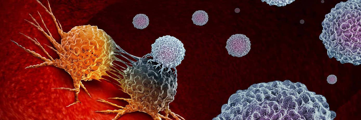 Development of a high throughput image cytometric screening method as a ... Development of a high throughput image cytometric screening method as a ...