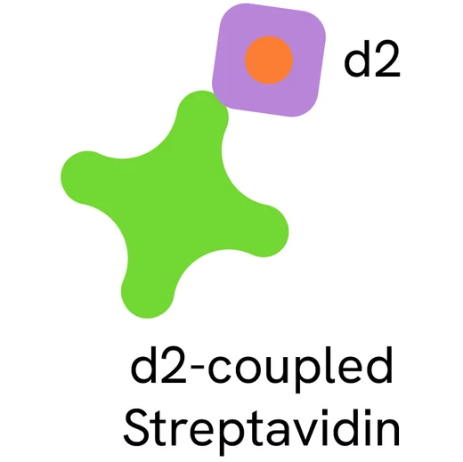 HTRF Streptavidin d2-Conjugate, 1,000 Assay Points | Revvity