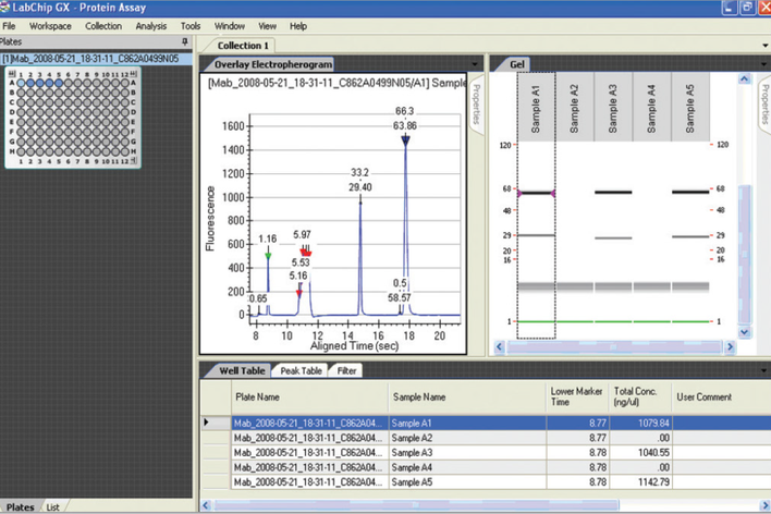 LabChip GXII Touch HT Protein Characterization System | Revvity