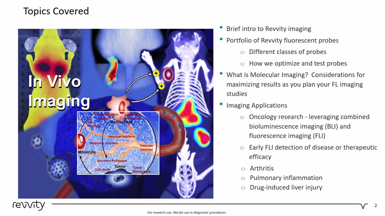 Maximizing in vivo research using fluorescent imaging probes | Revvity