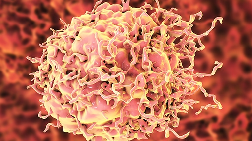 Latest Mimix reference standard products | Revvity