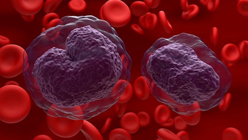 Latest Mimix reference standard products | Revvity