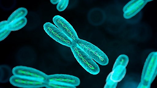 Latest Mimix reference standard products | Revvity