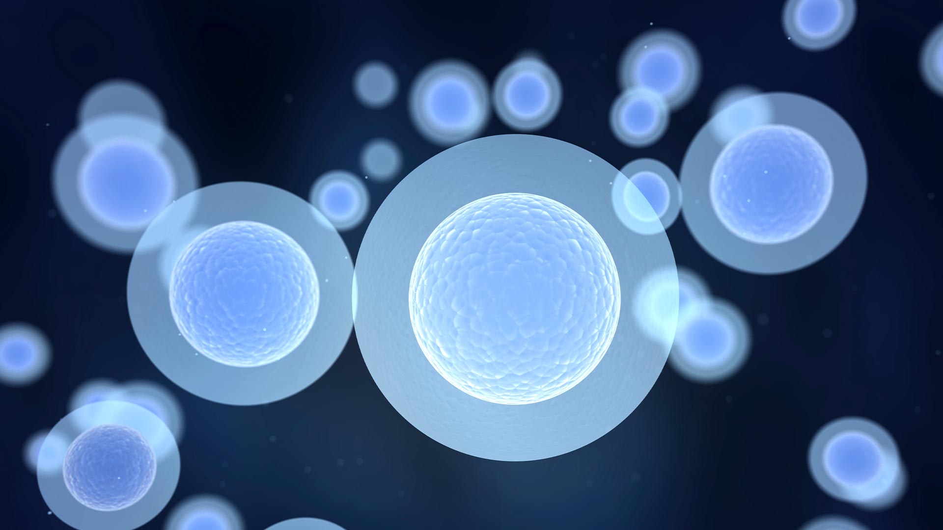 Imaging Cytometry is a Highly Useful Tool for In vitro T cell Immunology Studies | Revvity