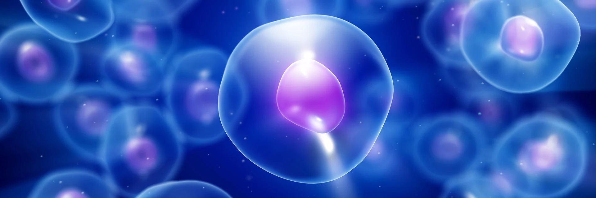 Importance Of Accurate Cell Counting For Single Cell Sequencing