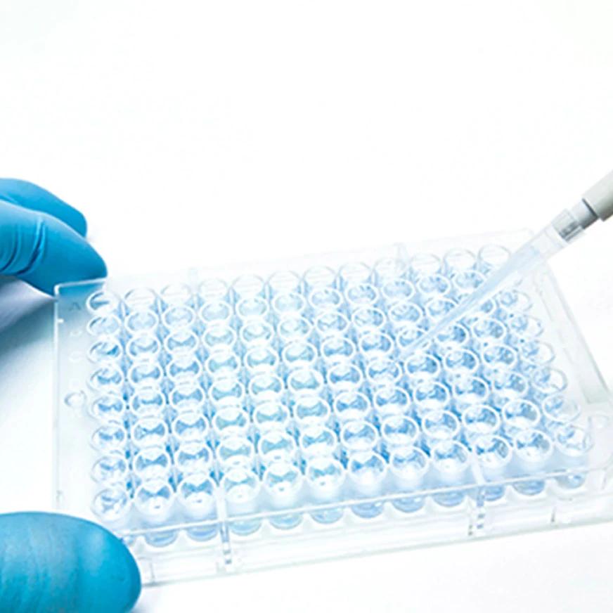 In vitro assays | Revvity