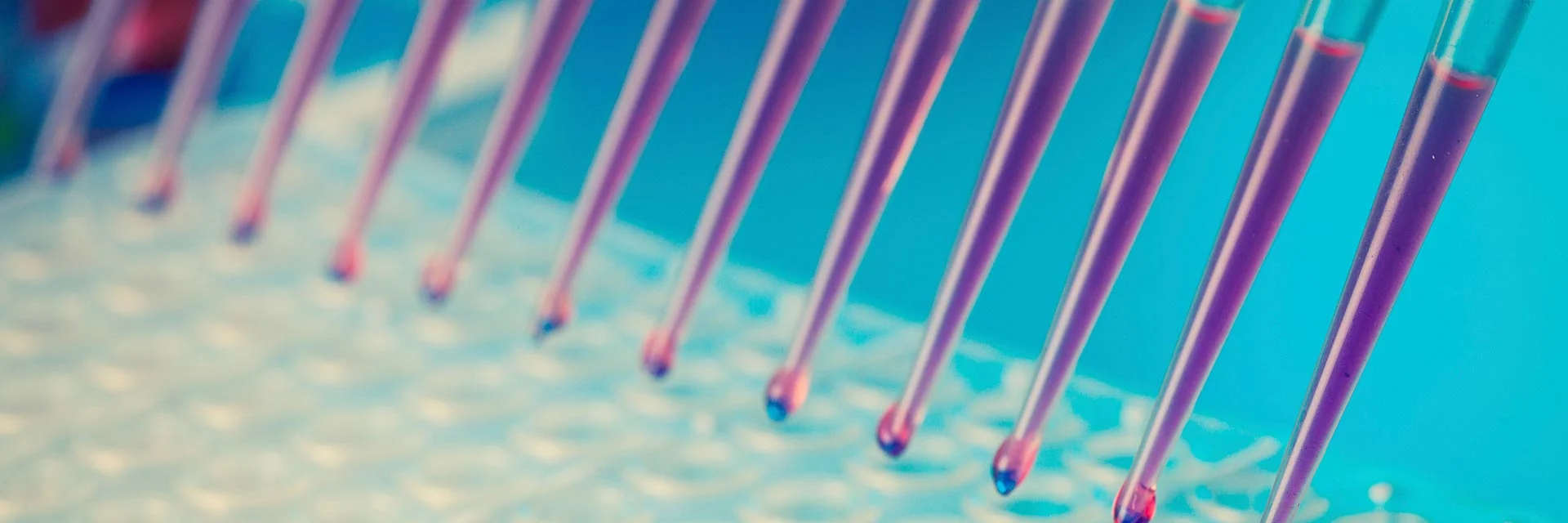 HTRF protein-protein interaction: your dream assay served on a plate ...