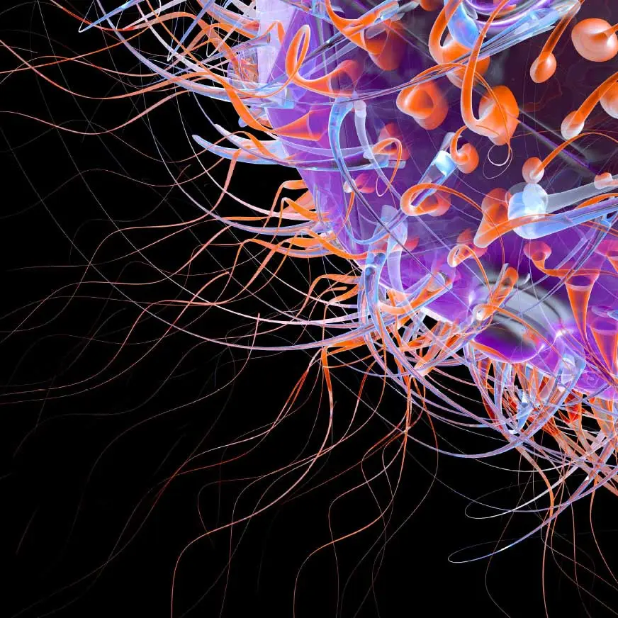 Infectious disease research tools | Revvity