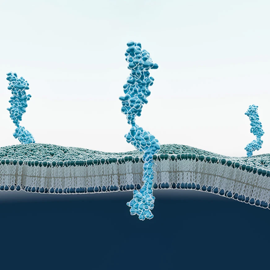 Inflammation Research Solutions | Revvity
