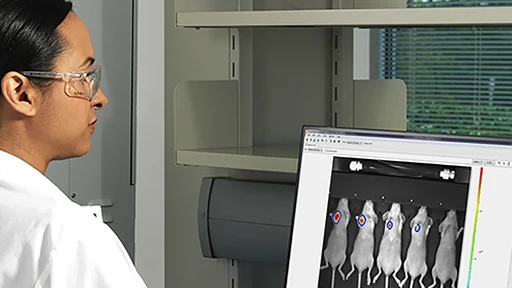 In Vivo Imaging Solutions for Cancer Research | Revvity