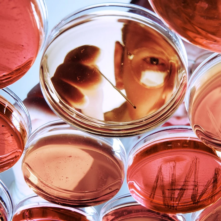 Interrogate Biology for Advanced Drug Research | Revvity