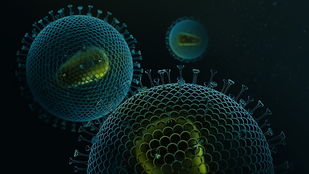 Lentiviral Vectors | Revvity