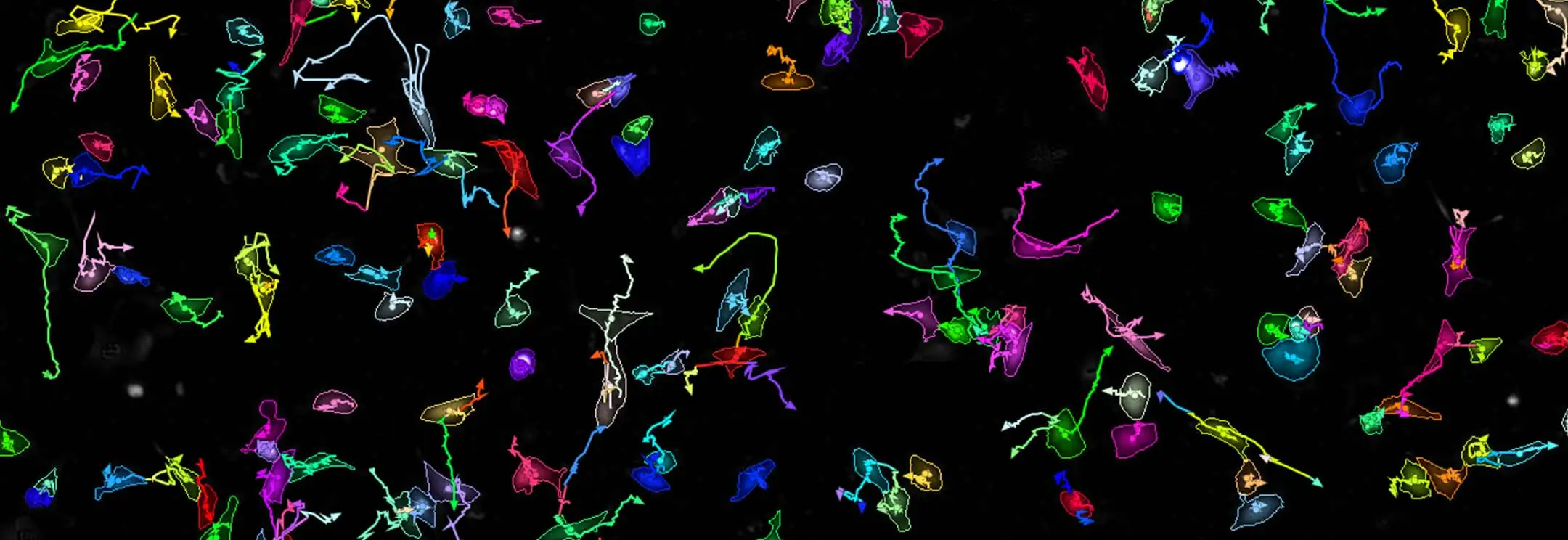 Live-Cell Imaging | Revvity