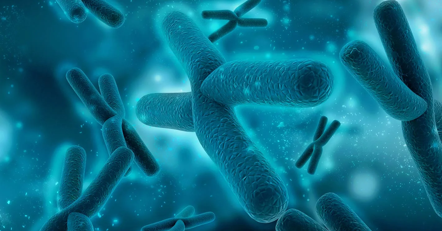 Molecular Cytogenetics | Revvity