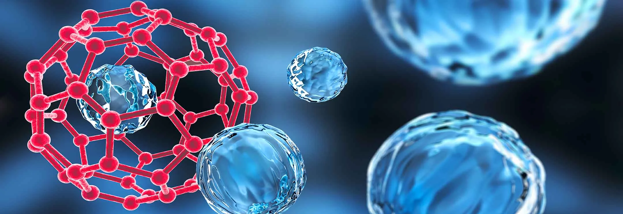 Fluorescent Nanoparticles | Revvity