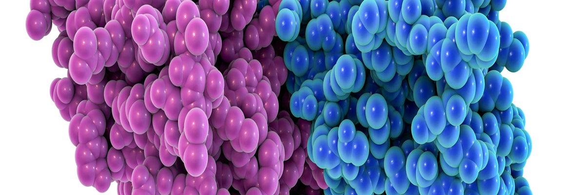 Optimizing A Ternary Complex Assay With Alphalisa Toolbox Reagents For