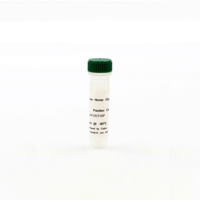 HTRF Human Heme Oxygenase Detection Kit, Standard | Revvity