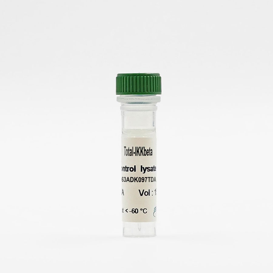 HTRF Human Total IKKβ Detection Kit, Control Lysate | Revvity