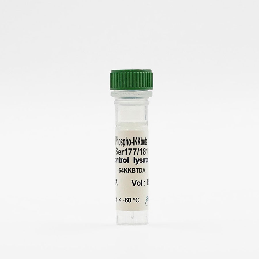 HTRF Human Phospho-IKKβ (Ser177/181) Detection Kit, 1 Vial | Revvity