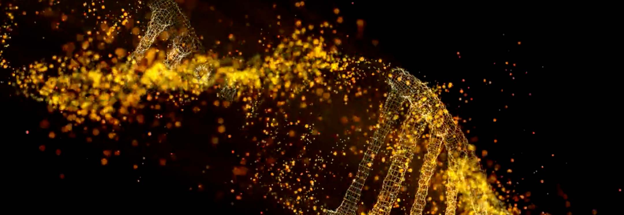 Pin-point Base Editing Platform | Revvity