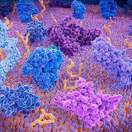 Life Science Research & Development Solutions | Revvity