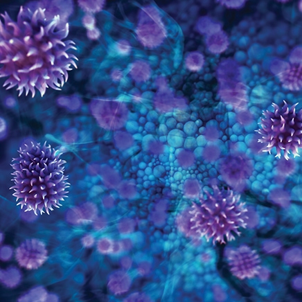 Life Science Research & Development Solutions | Revvity