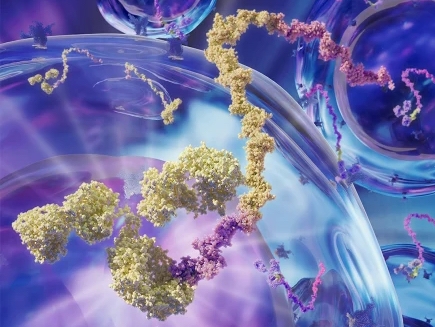 Cell Analysis Solutions and Products | Revvity