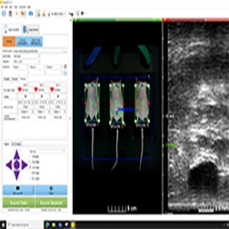 In Vivo Imaging Software - Living Image | Revvity