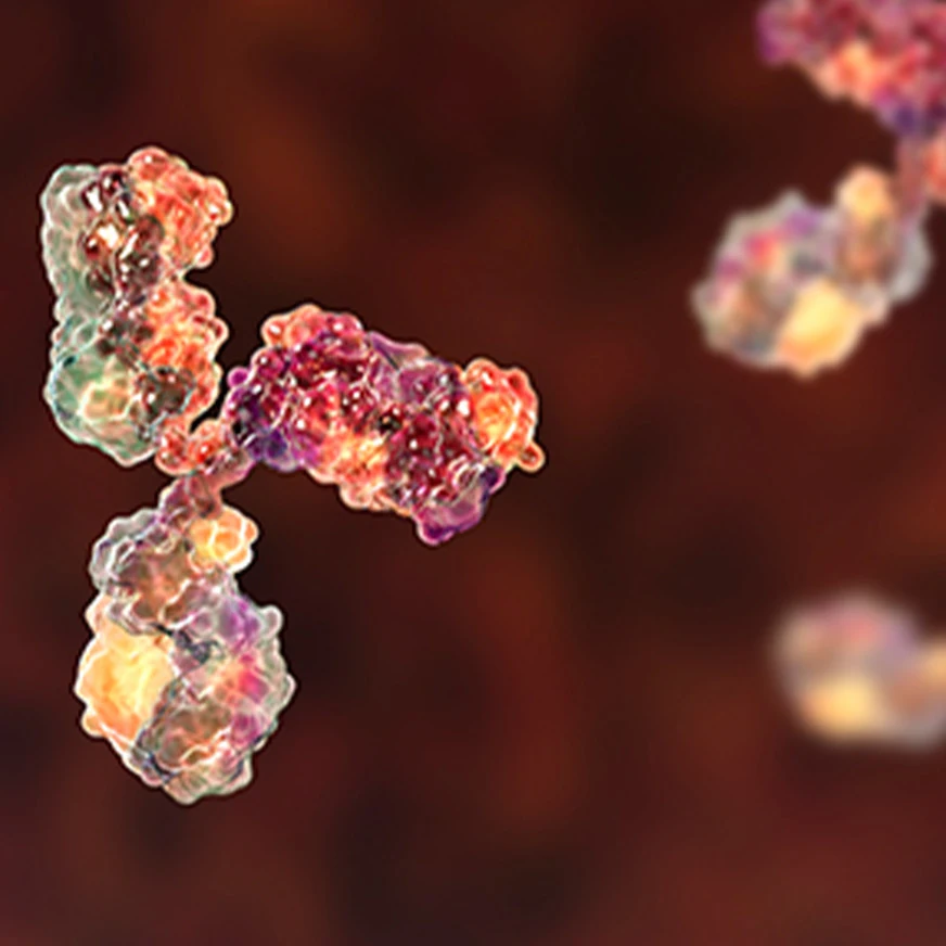 Biomolecular Target ID and Validation Solutions | Revvity