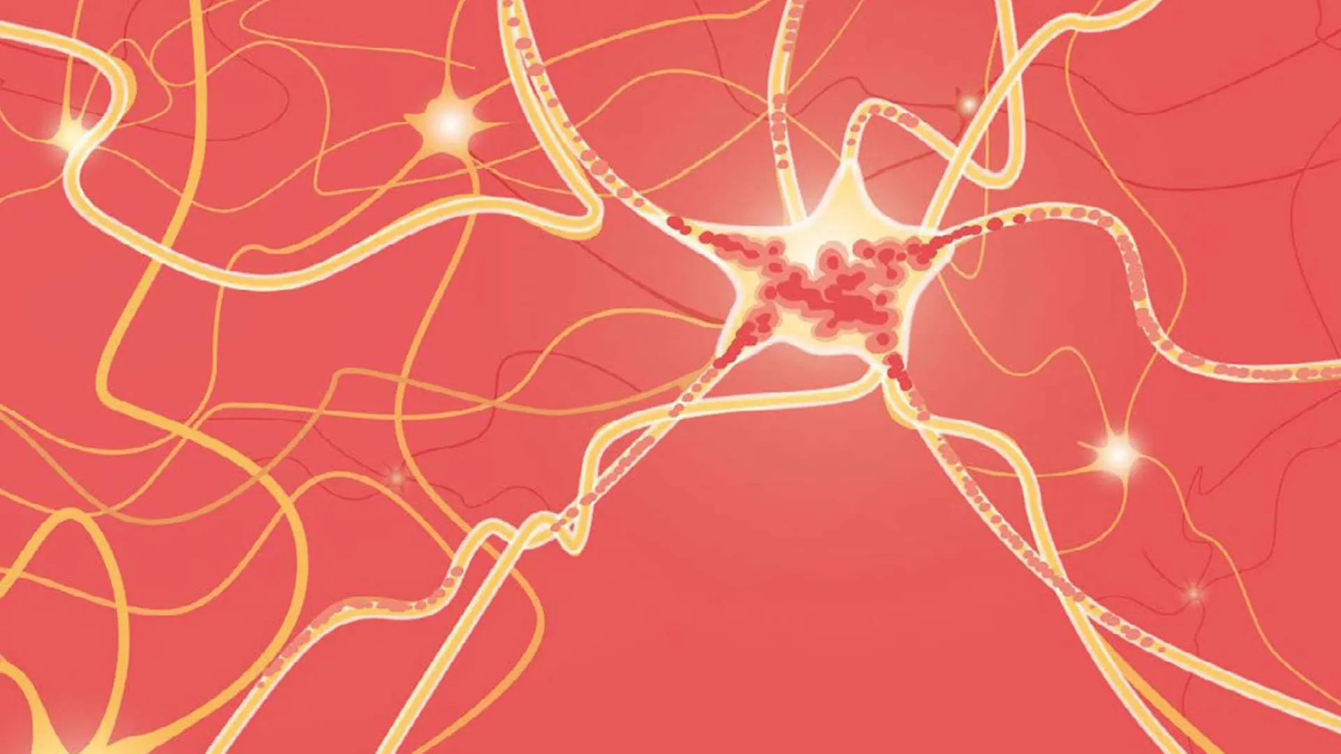 The role of Immune dysregulation and Mitochondrial dysfunction in ... The role of Immune dysregulation and Mitochondrial dysfunction in ...