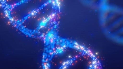 Tips, tricks, and best practices for running LabChip assays webinar ...